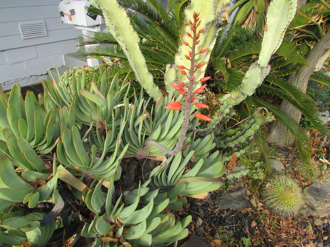 IMG 1405 — Postimages