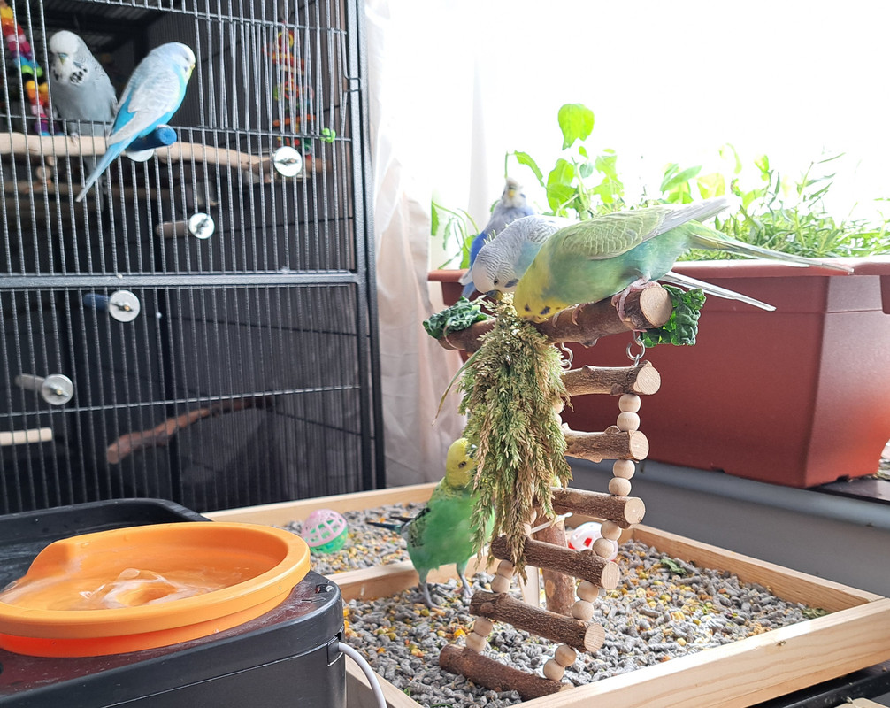 20240809 152546 — Postimages