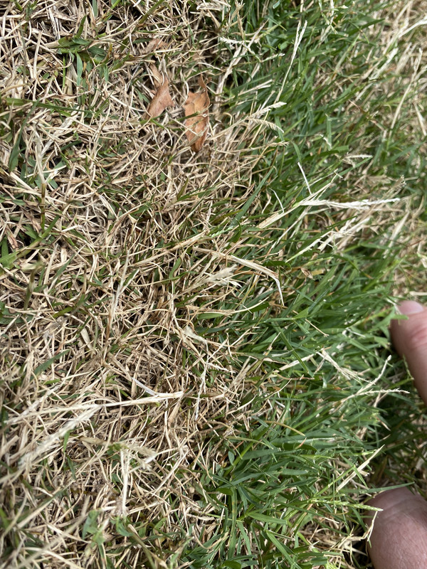 BB891 AB3 A17 B 4847 890 A 059 EBFCADAD1 — Postimages