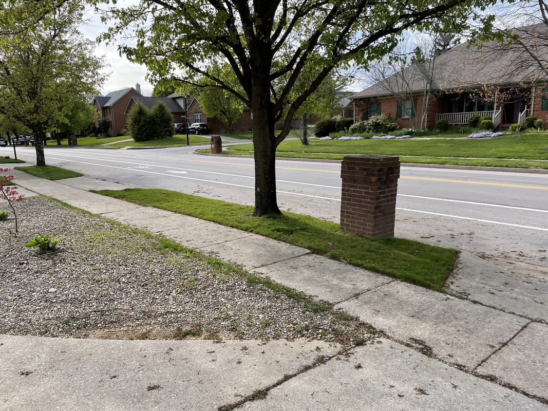 IMG 1183 — Postimages