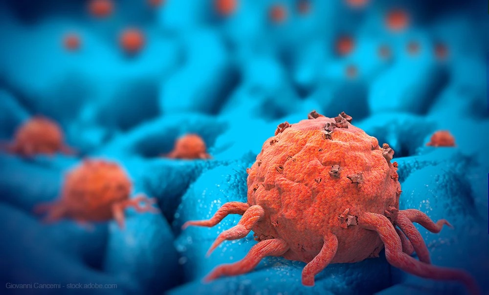 Services | infiniticlinical.com