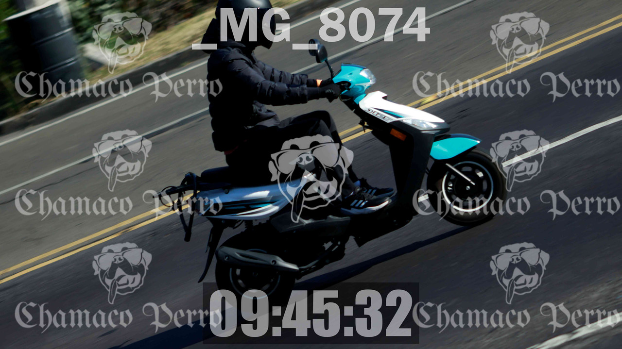 MUESTRA MG 8074 — Postimages