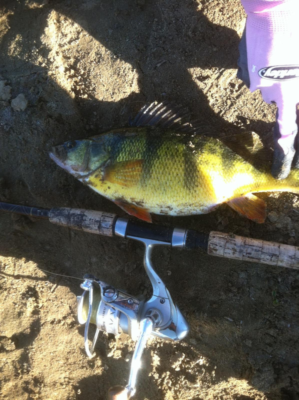 FCCF08 D0 516 C 4050 86 BF C2 A8 A95668 D5 — Postimages