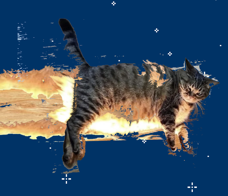 PsBattle: a cat lying in front of a sunbeam : r/photoshopbattles