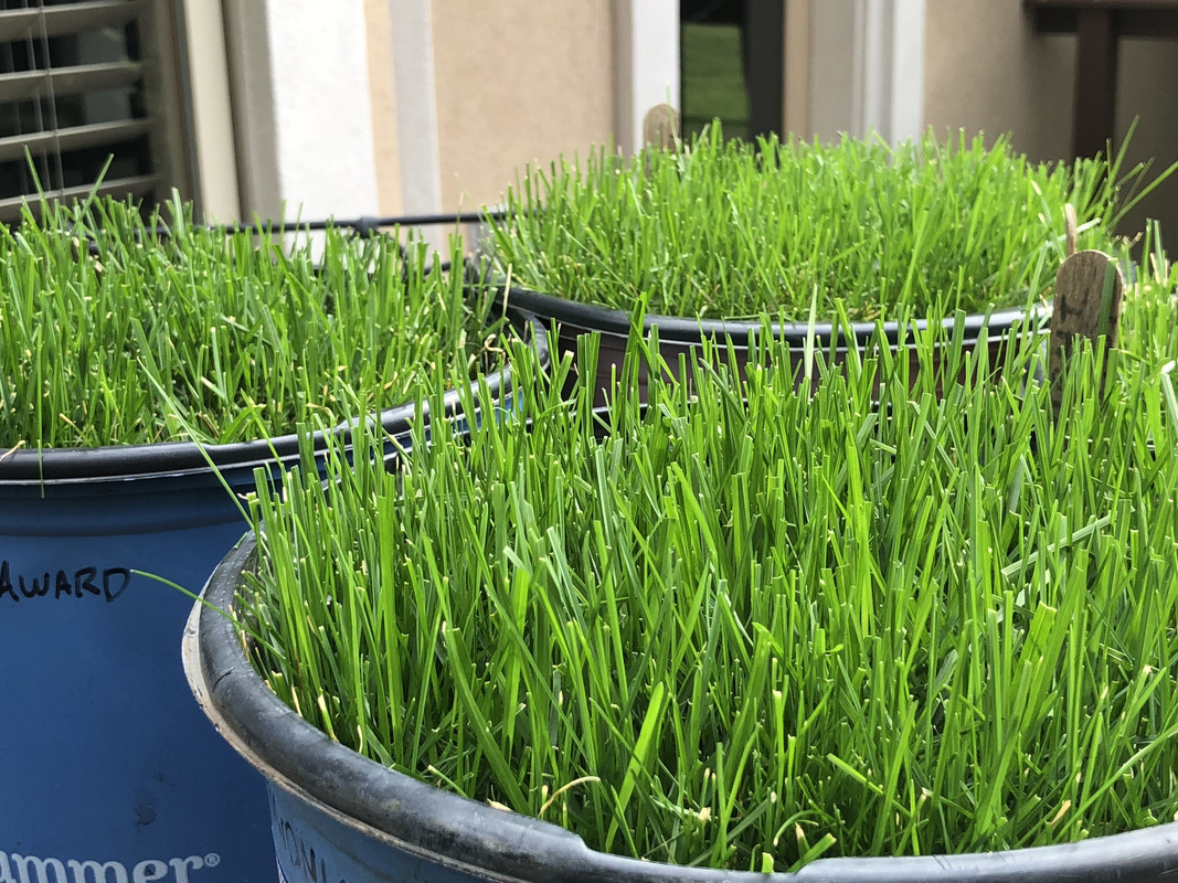 72 C0 C8 DA 7019 4 F37 8 EF2 AB7 DCE4 CABEF — Postimages