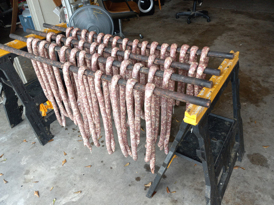 Proud dad today. Passing things down. | Outdoor Board