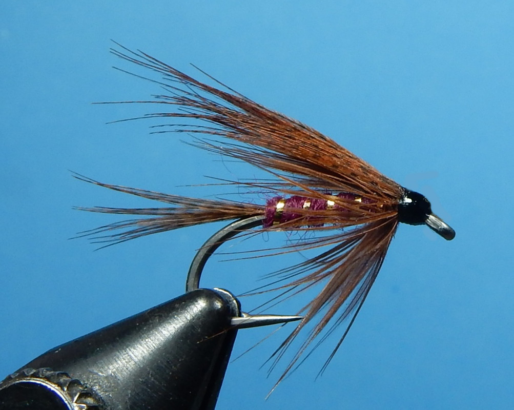 Maine Jungle - Fly Tying - Maine Fly Fish