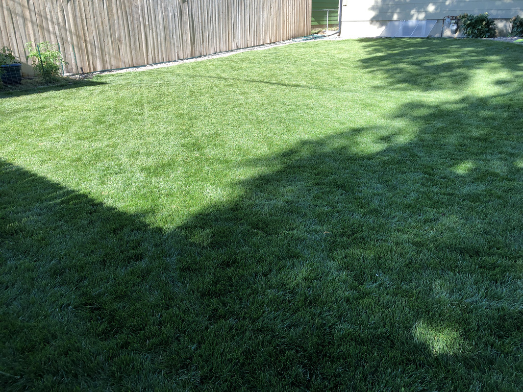 IMG 9244 — Postimages