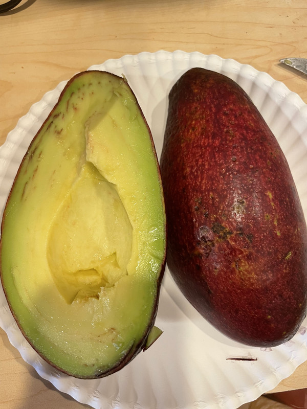 IMG 0029 — Postimages