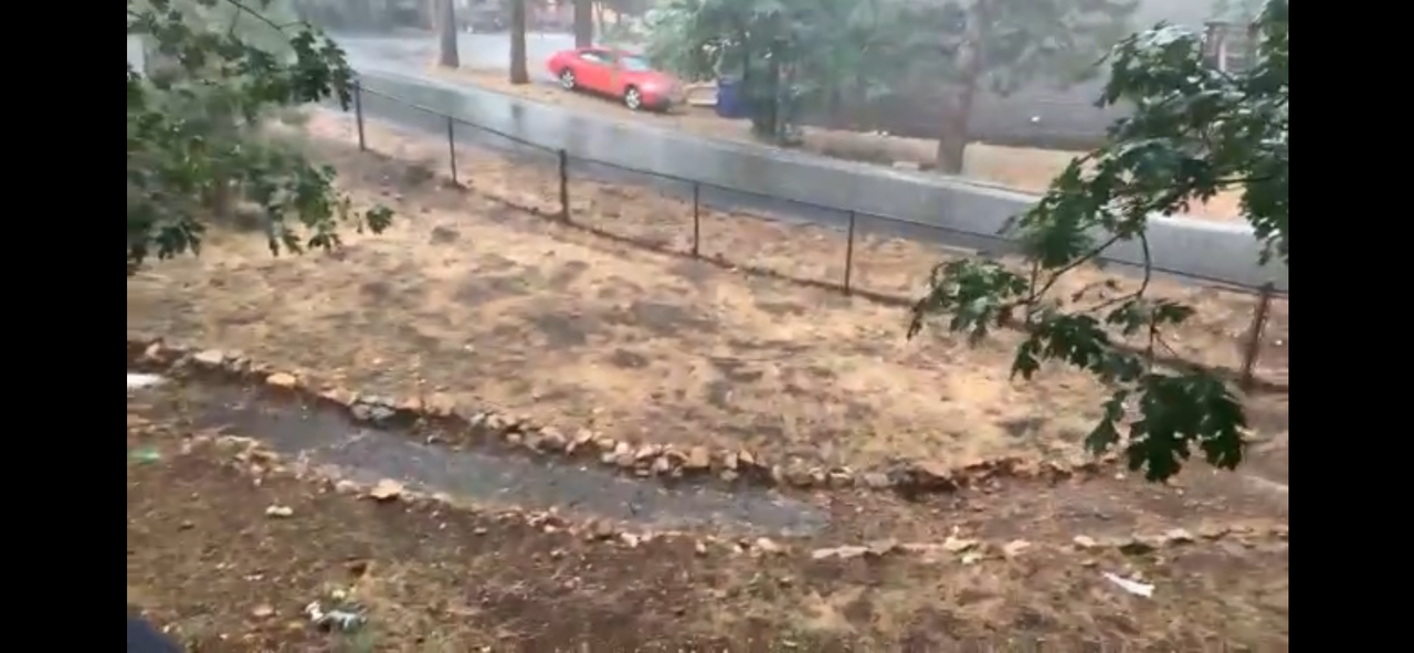 IMG 3496 — Postimages