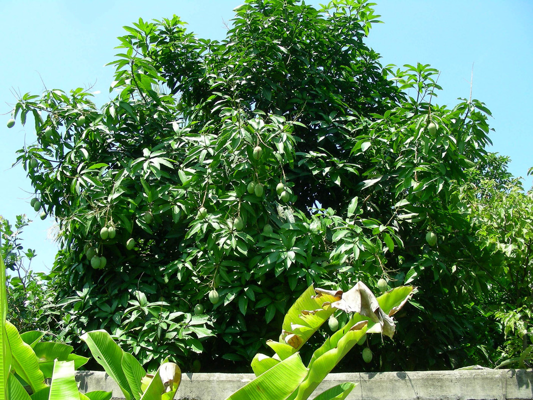 DSCN3361 — Postimages