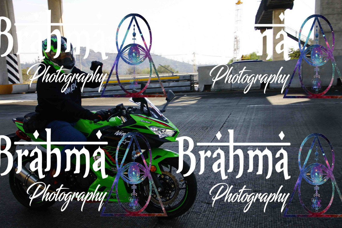 MG 1232 — Postimages