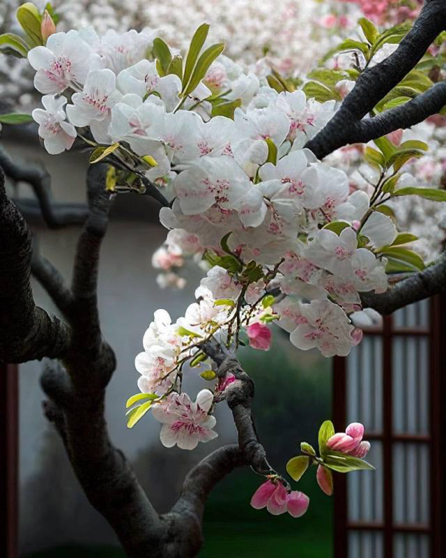 IMG 5151 — Postimages