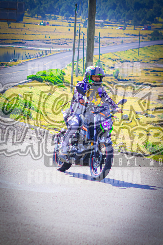 PL2 11 — Postimages