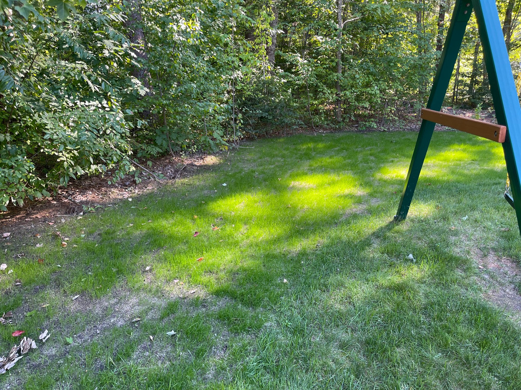 IMG 3644 — Postimages