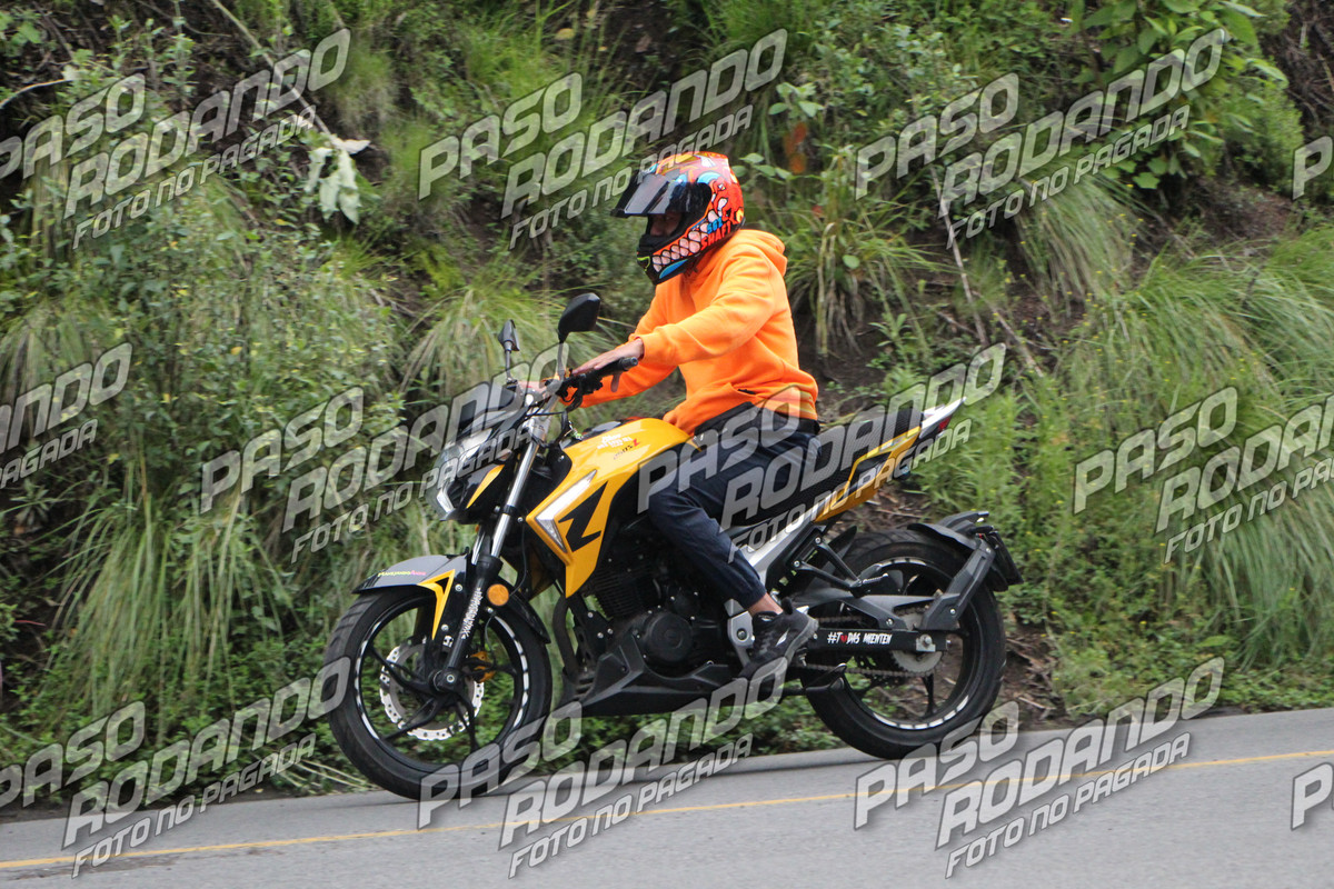 IMG 5282 wm 50004 watermarked — Postimages