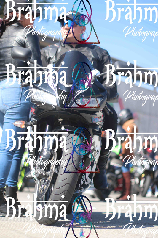 IMG 1526 — Postimages