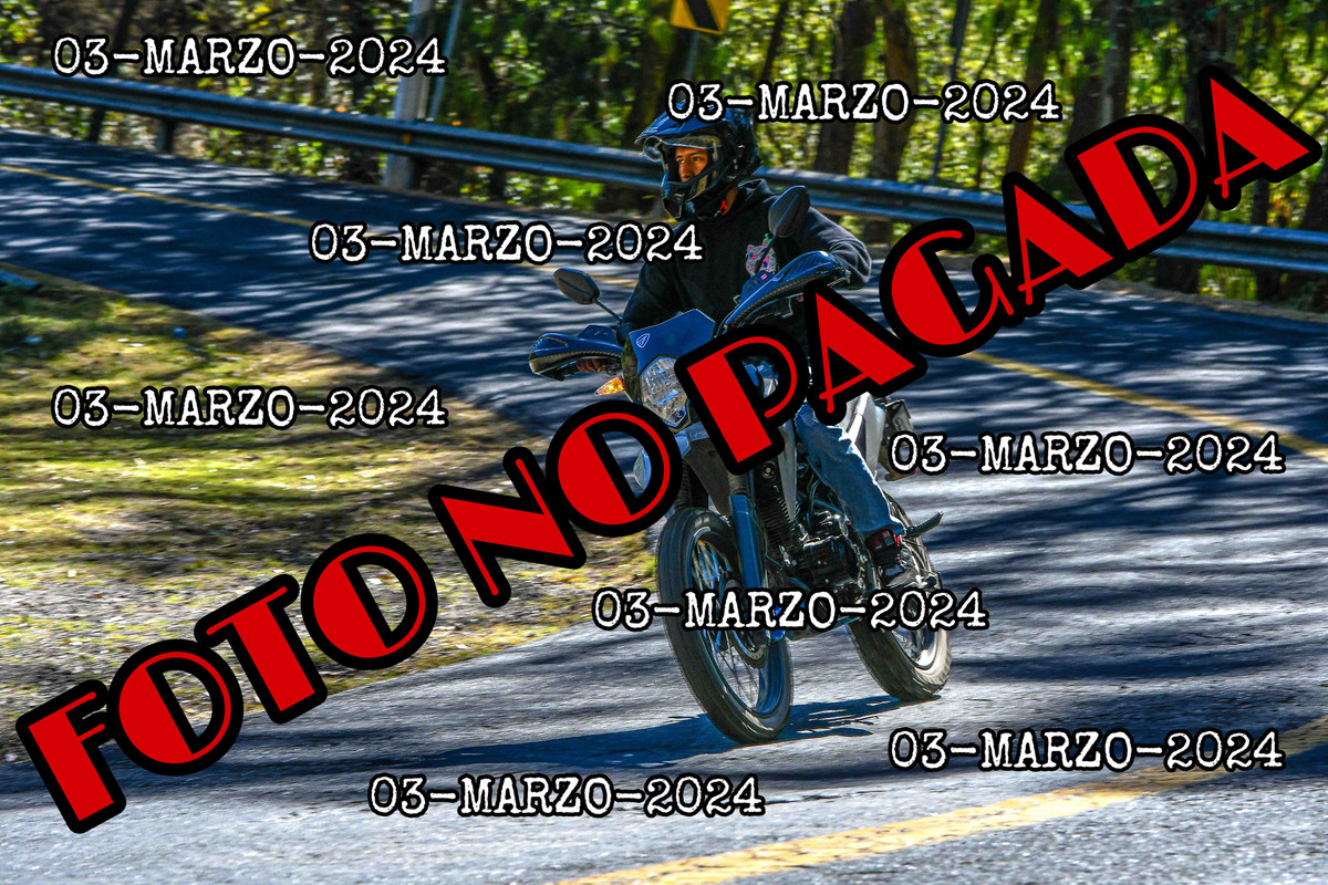 CC 103 — Postimages