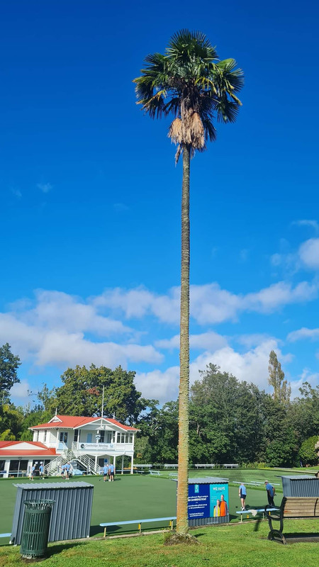 FB IMG 1679152995882 — Postimages