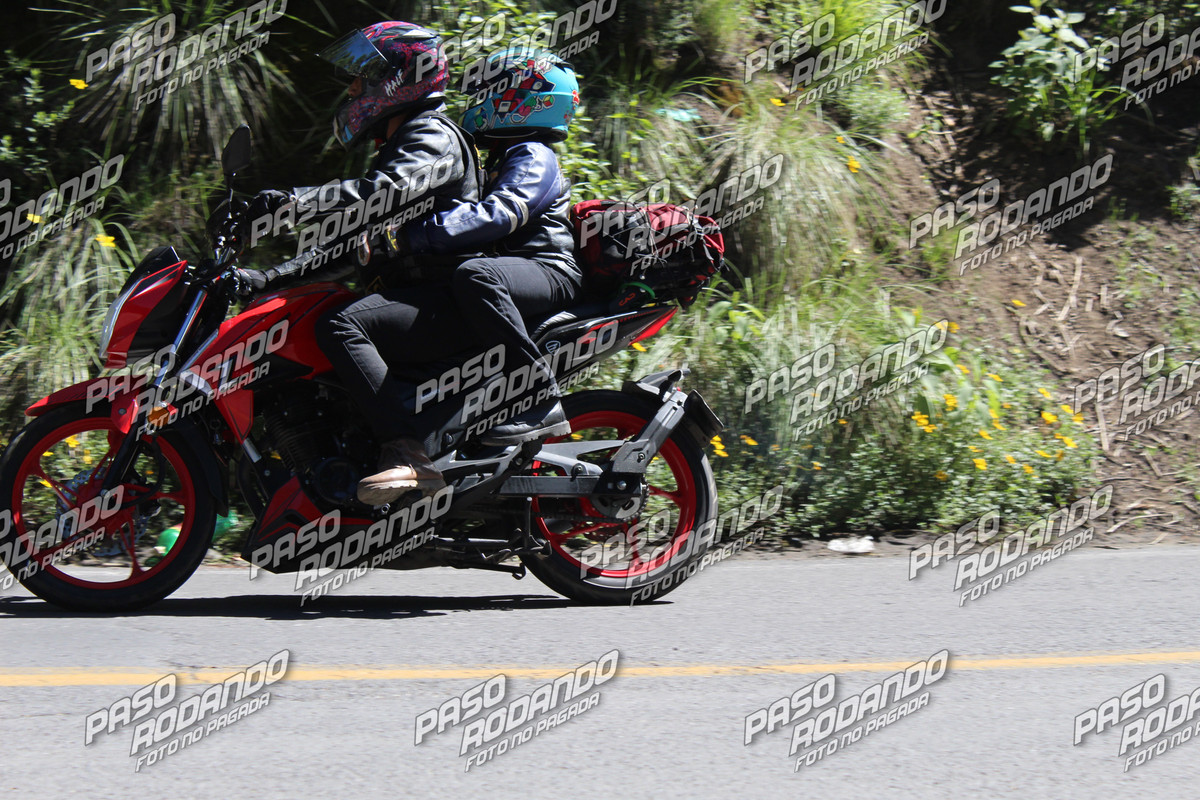 IMG 4102 wm 2331474 8 watermarked — Postimages