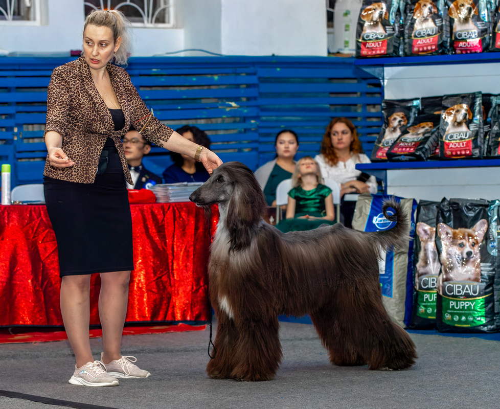 11284 — Postimages