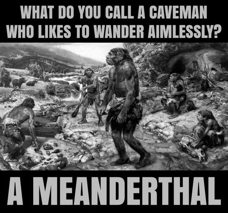 Funny Memes, Headlines, and Bad Jokes Thread - 2024 Edition | Page 51 ...