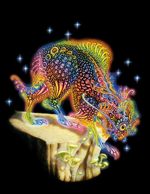 The Multiverse Shits Itself With The Imperial Fam-Squad the Abridged ...