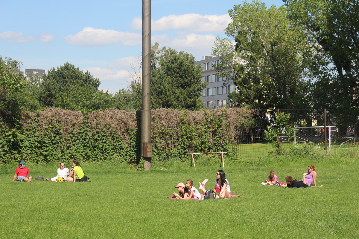 IMG 0832 — Postimages