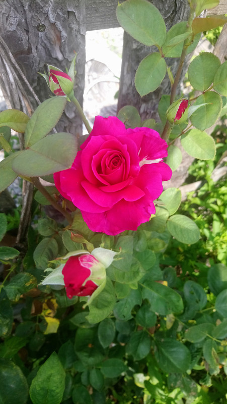 DSC 0631 — Postimages