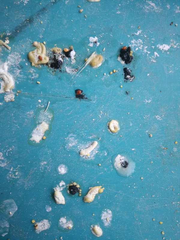 IMG 20230508 181414 compressed — Postimages