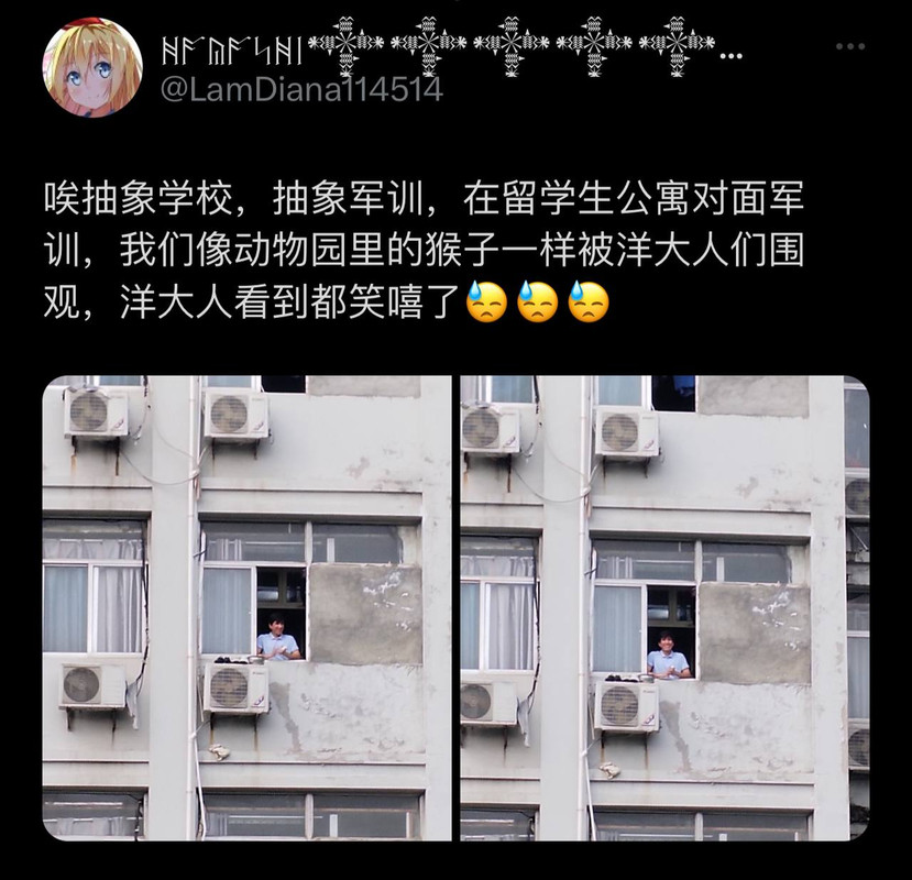 6 BFAFB19 706 B 4 FA2 9 CAC 19212550 C362 — Postimages