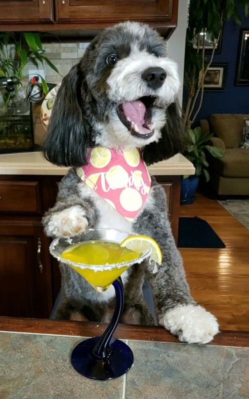 20221114 195658 — Postimages