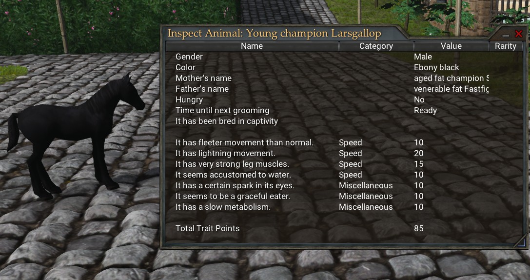 WTA Champion Horse 4speed! Ride with Syle, like a KING - Auctions (NFI ...