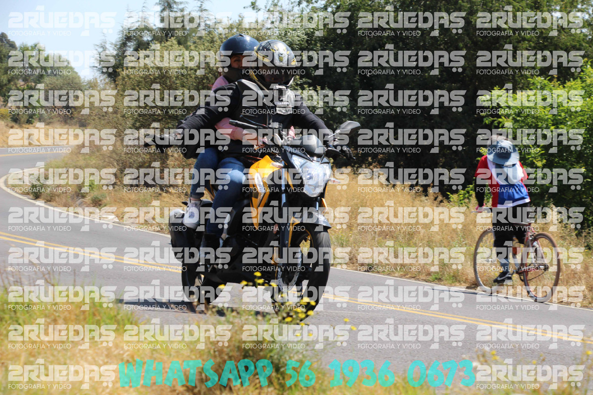 IMG 0237 — Postimages