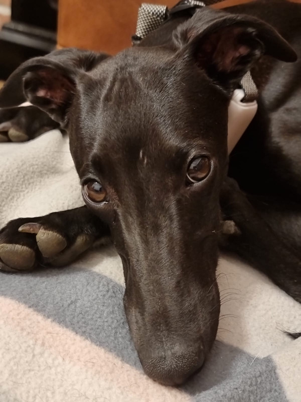 The world’s self-organizing economy can be expected to act strangely ...