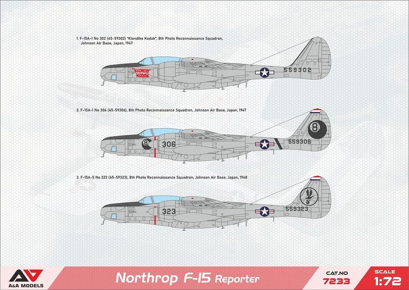 1/72 - Northrop XP-61E & F-15 Reporter by A&A Models - released - The ...