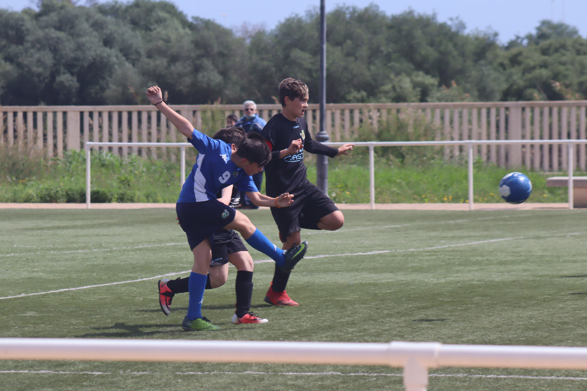 IMG 3432 — Postimages