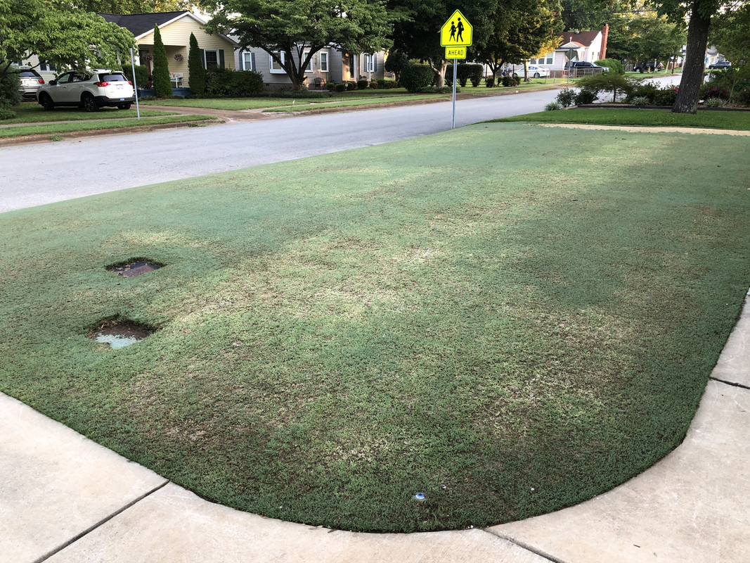 36875 D9 B 73 E4 4392 Bbf3 Ba39 E372 F1 C5 Postimages