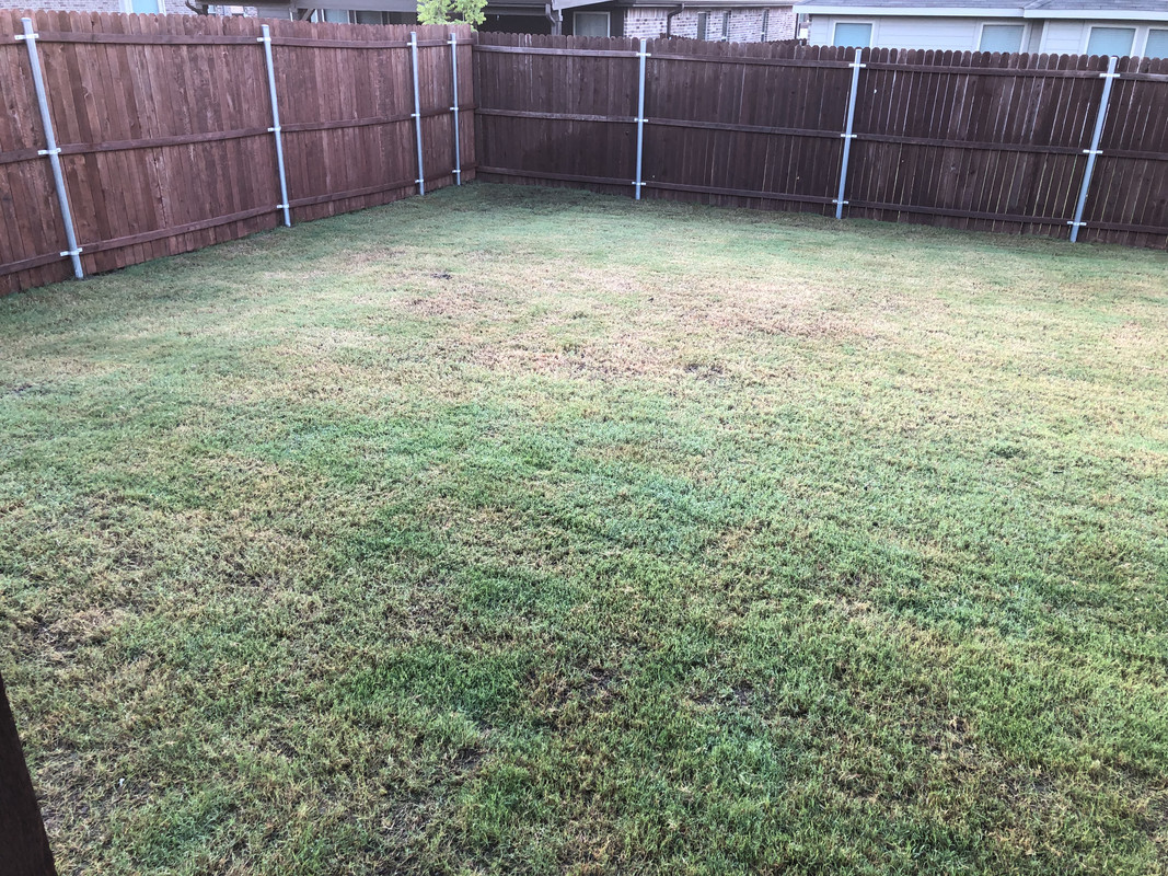 CE0086 FE A8 C5 439 A 95 C6 7 E30 E52 C5451 — Postimages