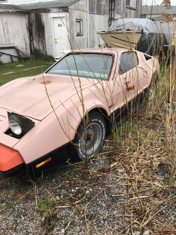 75 Bricklin Restomod | Canadian Rodder Hot Rod Community