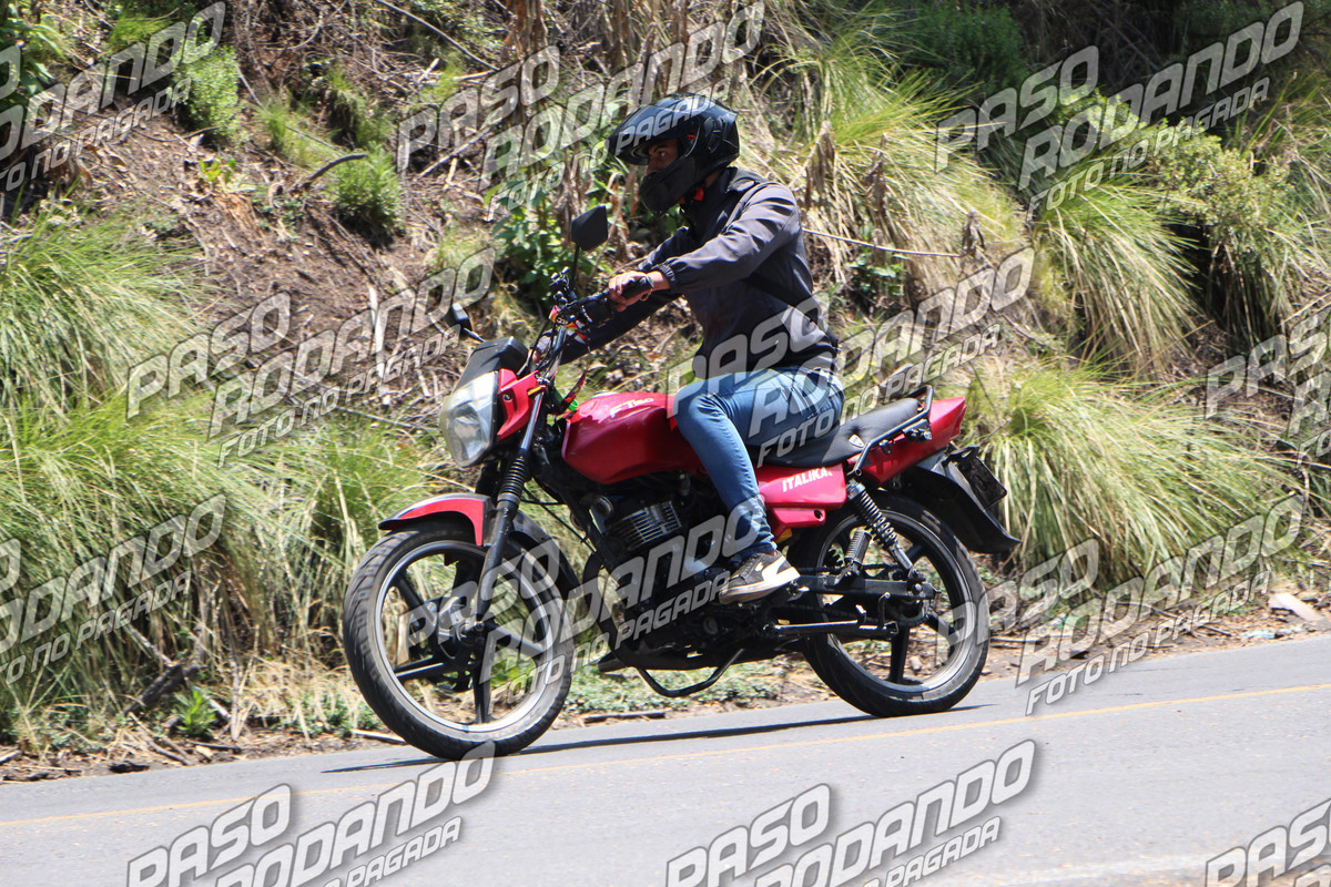 IMG 8129 wm 4699108 399999999 watermarked — Postimages