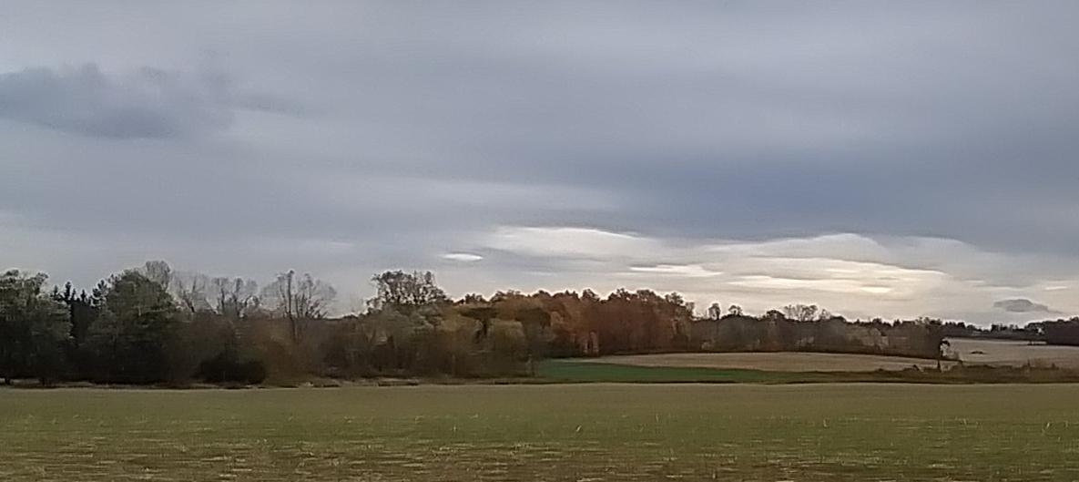 RunningAHEAD - Topic: October 2023 welcomes cool Autumn days