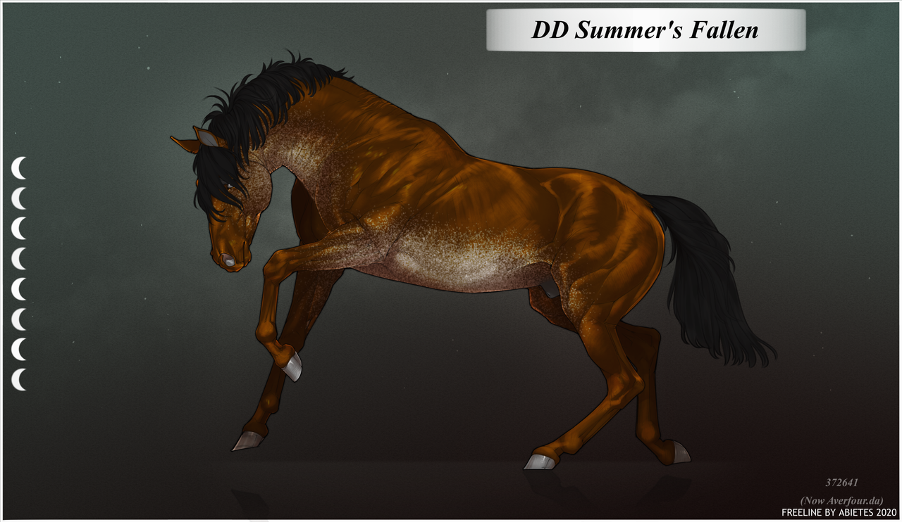 Horse Eden : DDs Adopt Shop | OPEN!