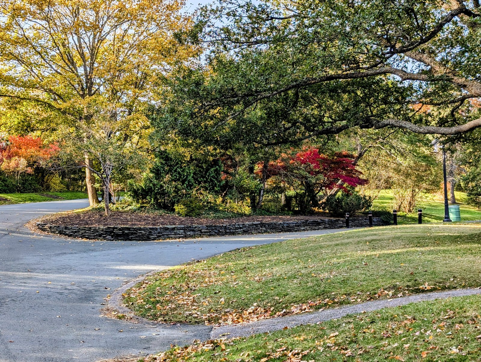 PXL 20241020 120923811 MP 2 — Postimages