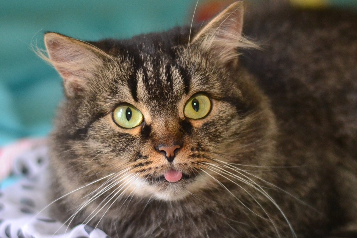 CSC 1032 — Postimages