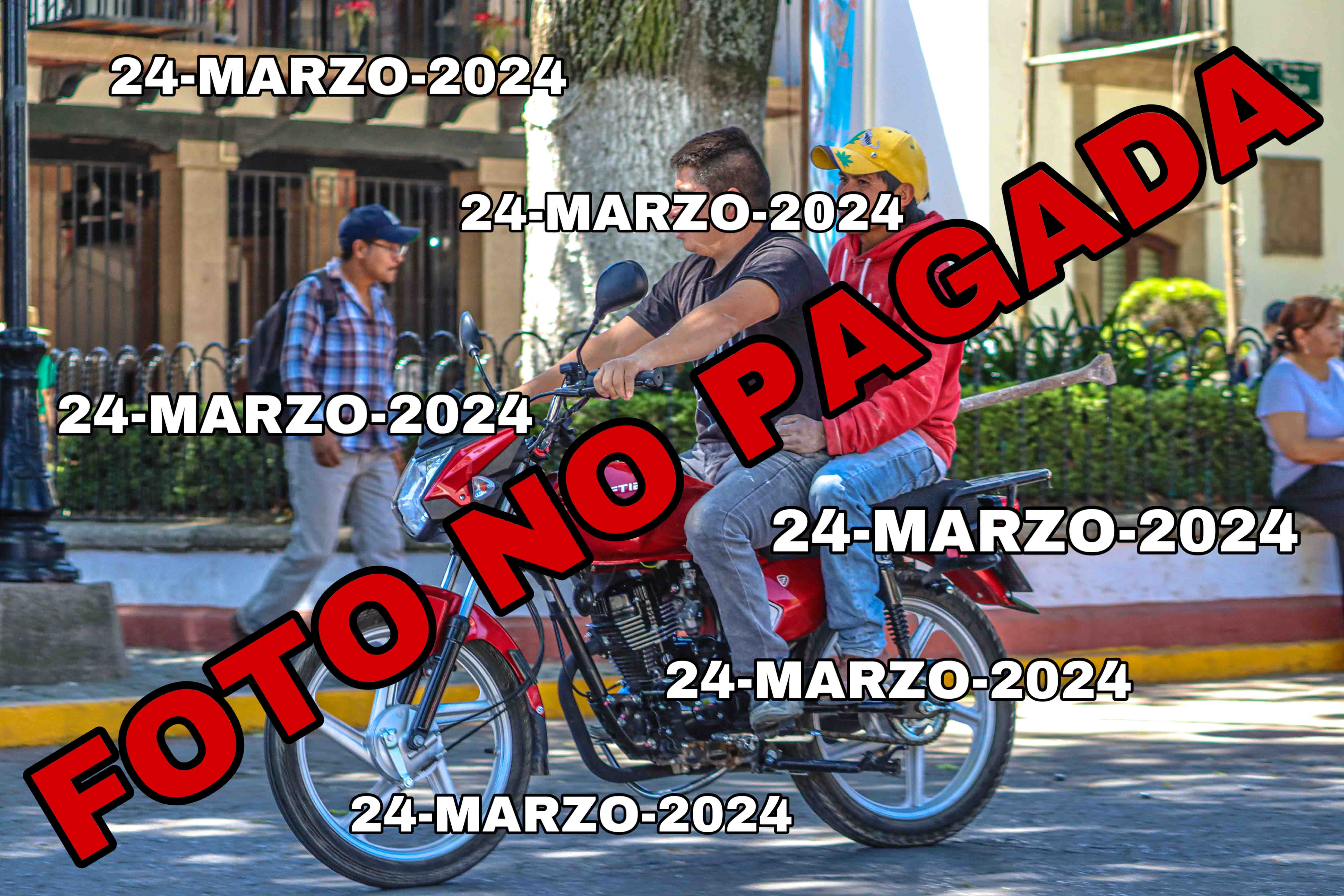 CV 308 — Postimages