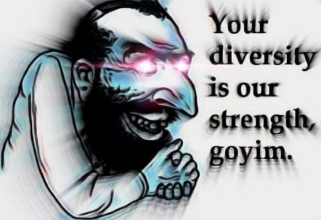 Meme your diversity is our strength goyim — Postimages