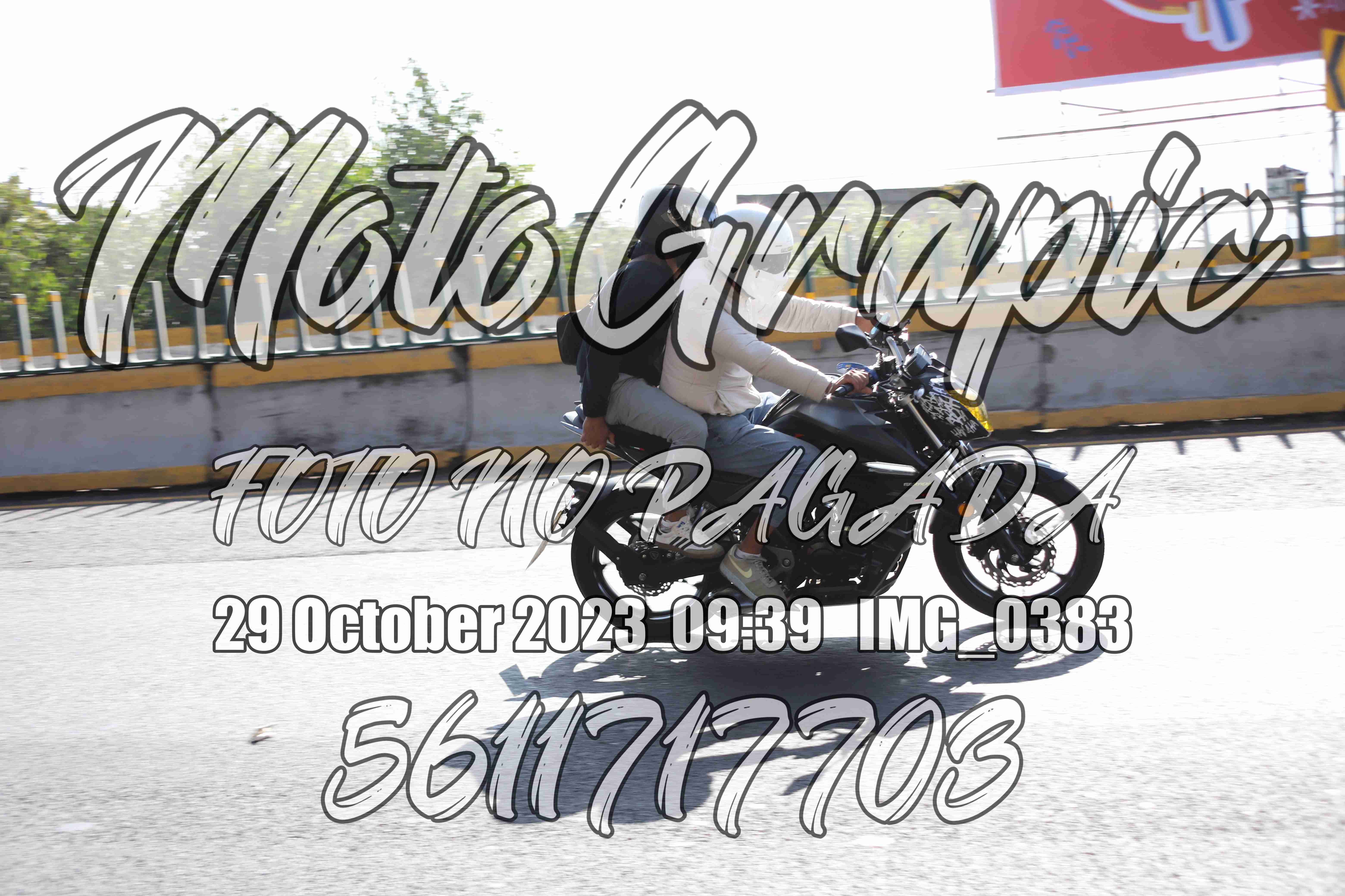 motgr IMG 0383 — Postimages