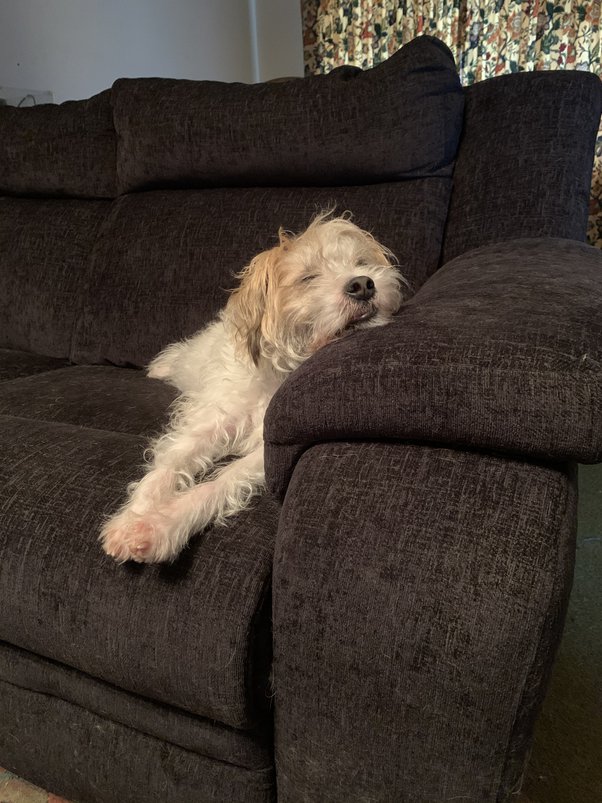 main qimg c87f0207159e038f0e3adb3fd21db907 lq — Postimages