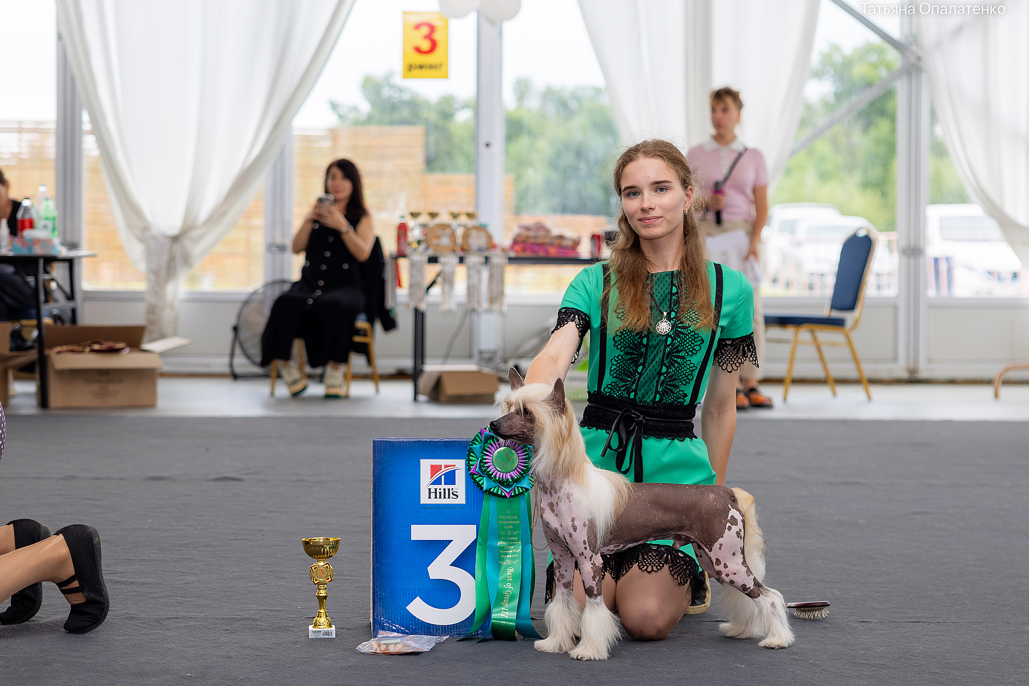 IMG 6869 — Postimages